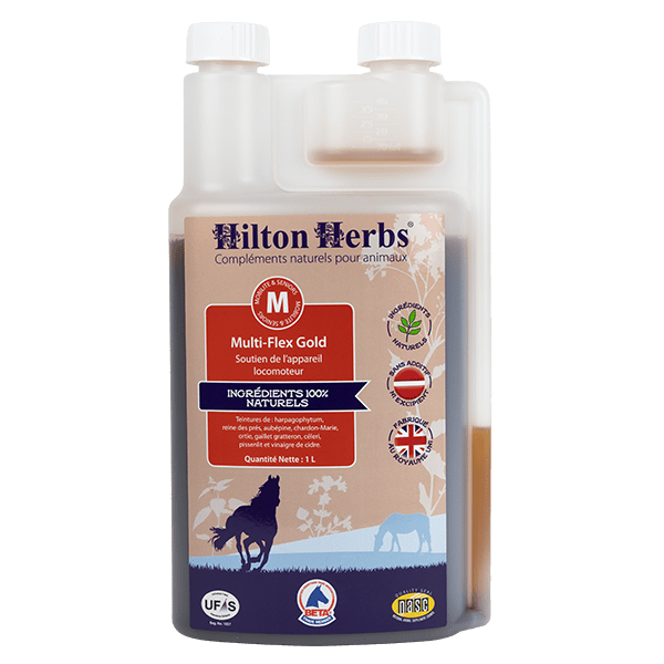 Hilton Herbs - Multi-Flex Gold 1l - Sweet Horse